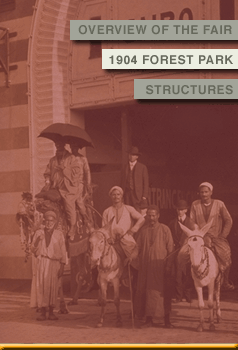 1904 World's Fair: Looking Back at Looking Forward